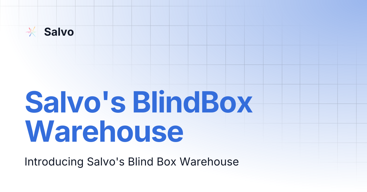 Salvo's BlindBox Warehouse | Salvo